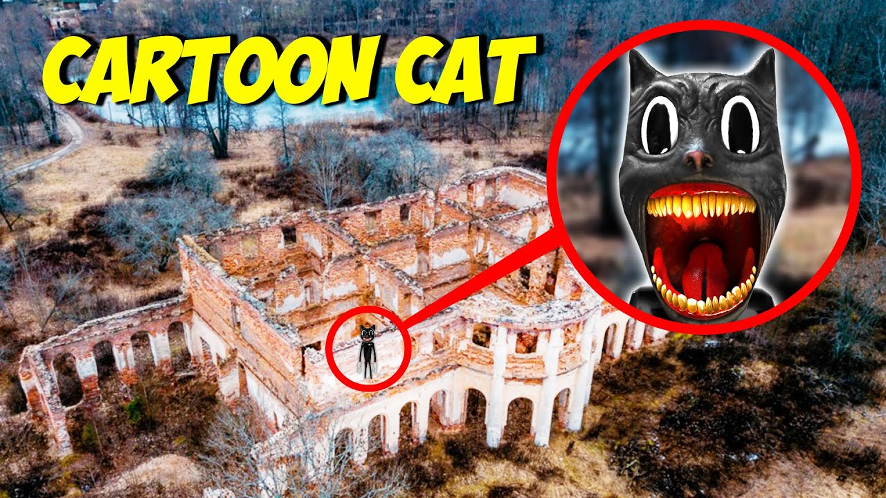 Notre DRONE trouve la mutation d'un CARTOON CAT! CARTOON CAT ne ...