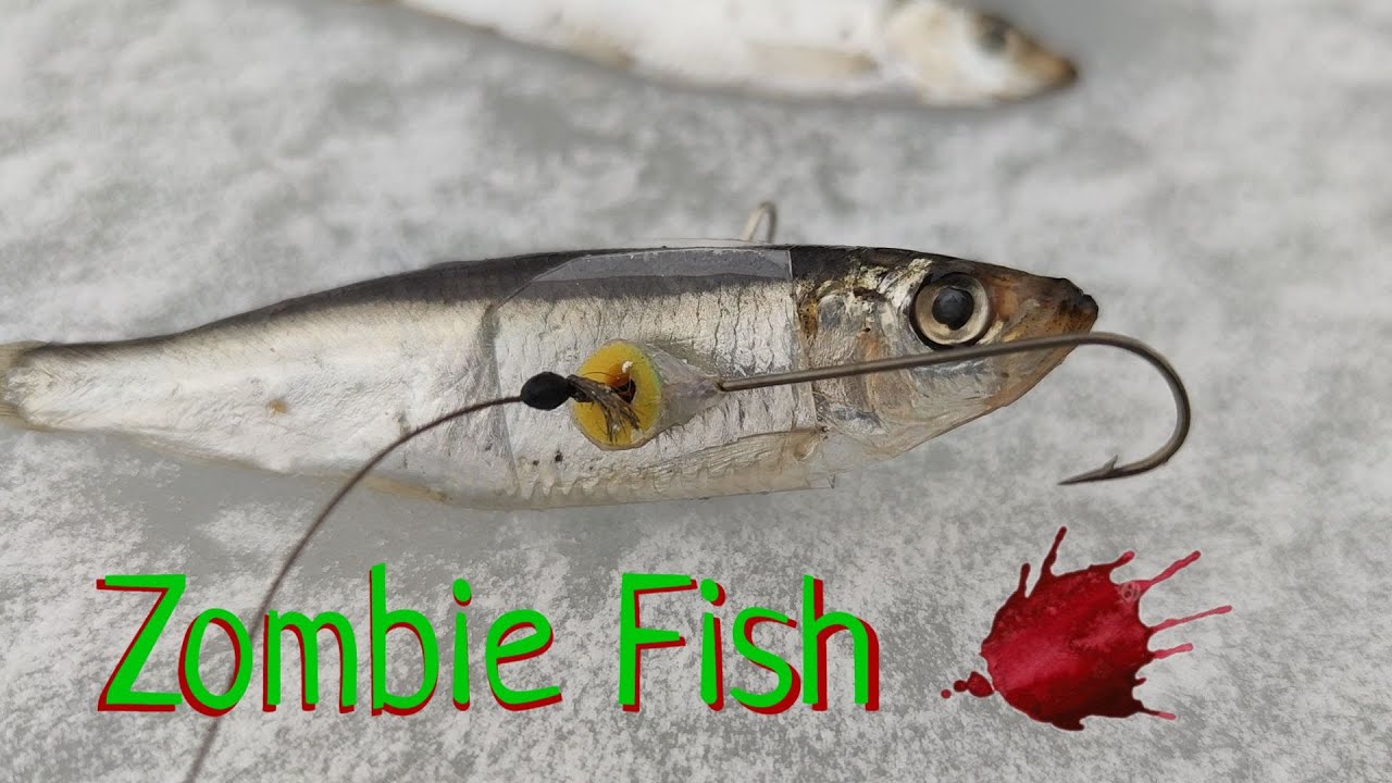 Зомби приманка -Zombie Fish (100 % Эта снасть выловит ВСЕГО хищника ...