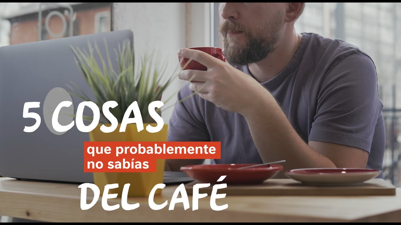 5 cosas que probablemente no sabías del café - YouTube