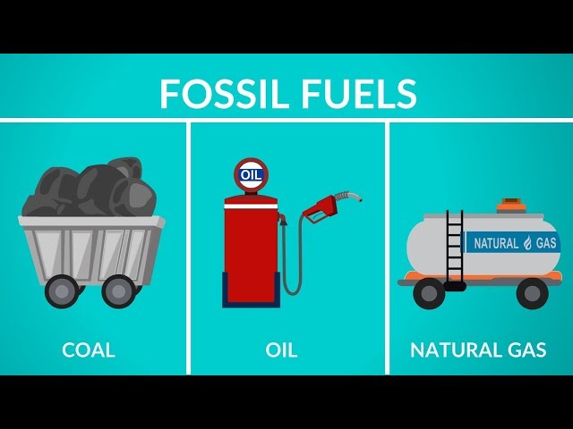 Oil Formation For Kids