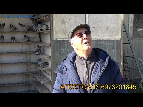 2 ΚΟΠΑΝΟΧΑΒΑΔΕΣ ΣΤΟ ΒΟΛΟ ΕΚΑΝΕ Ο ΑΠΟΣΤΟΛΗΣ Ο ΚΟΠΑΝΑΣ 2024 - YouTube