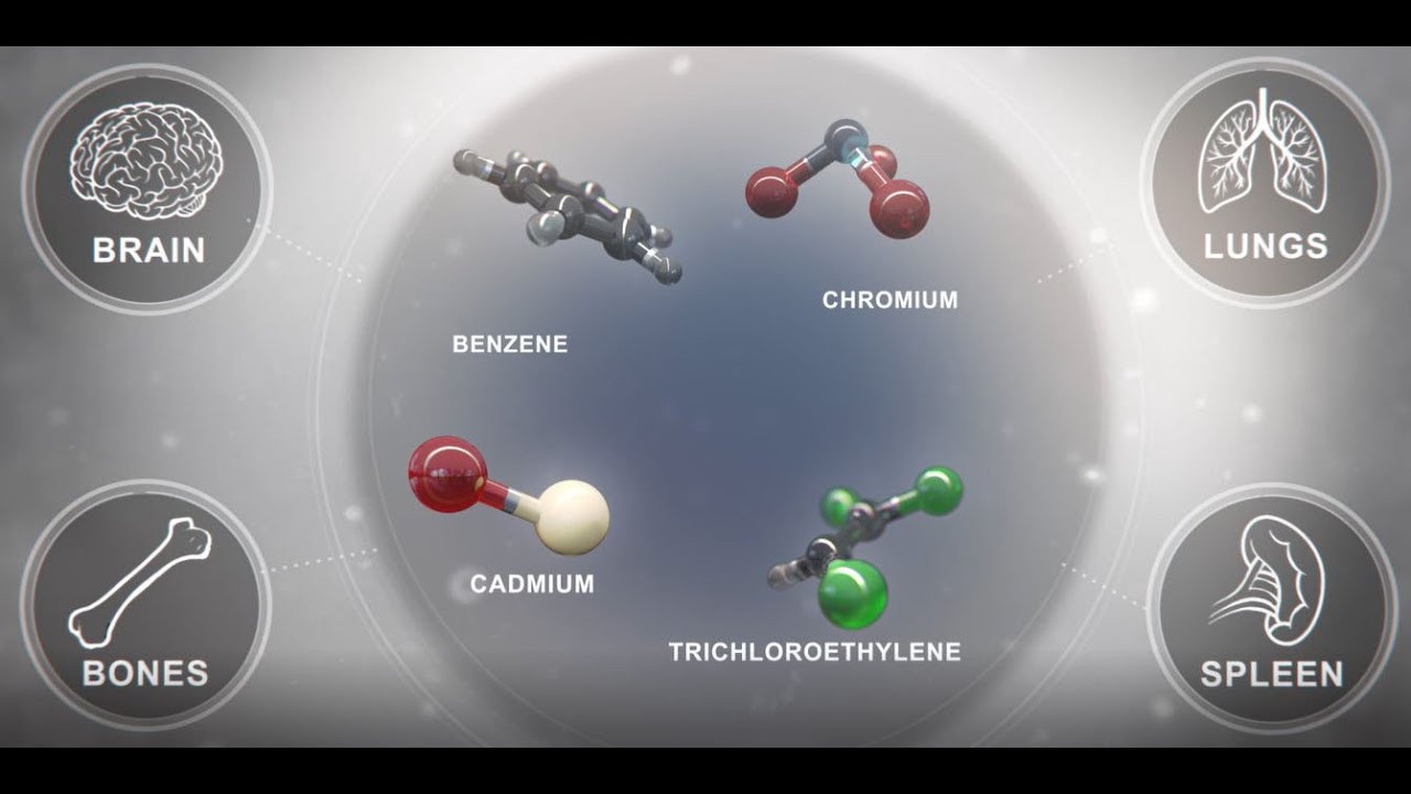 The Effects of Volatile Compounds on the Human Body - YouTube