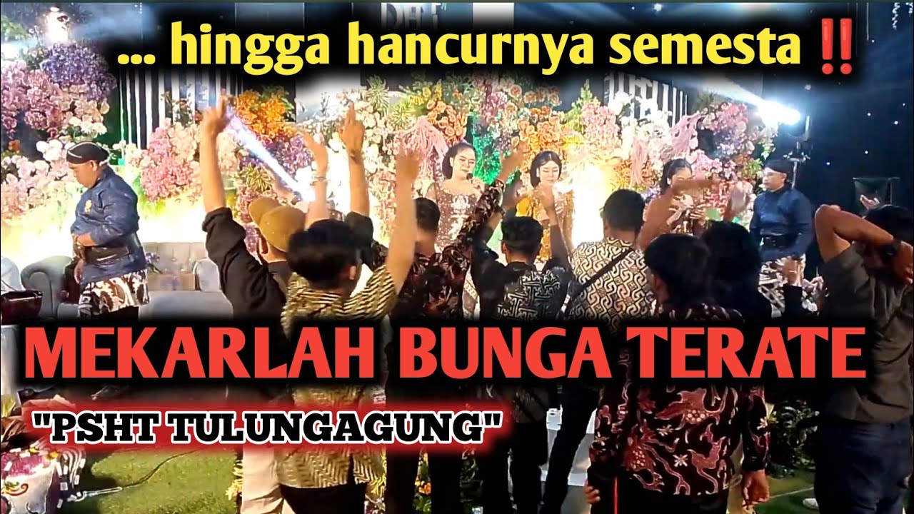 MEKARLAH BUNGA TERATE PSHT | Persembahan Spesial di Pernikahan Mbk Desi ...