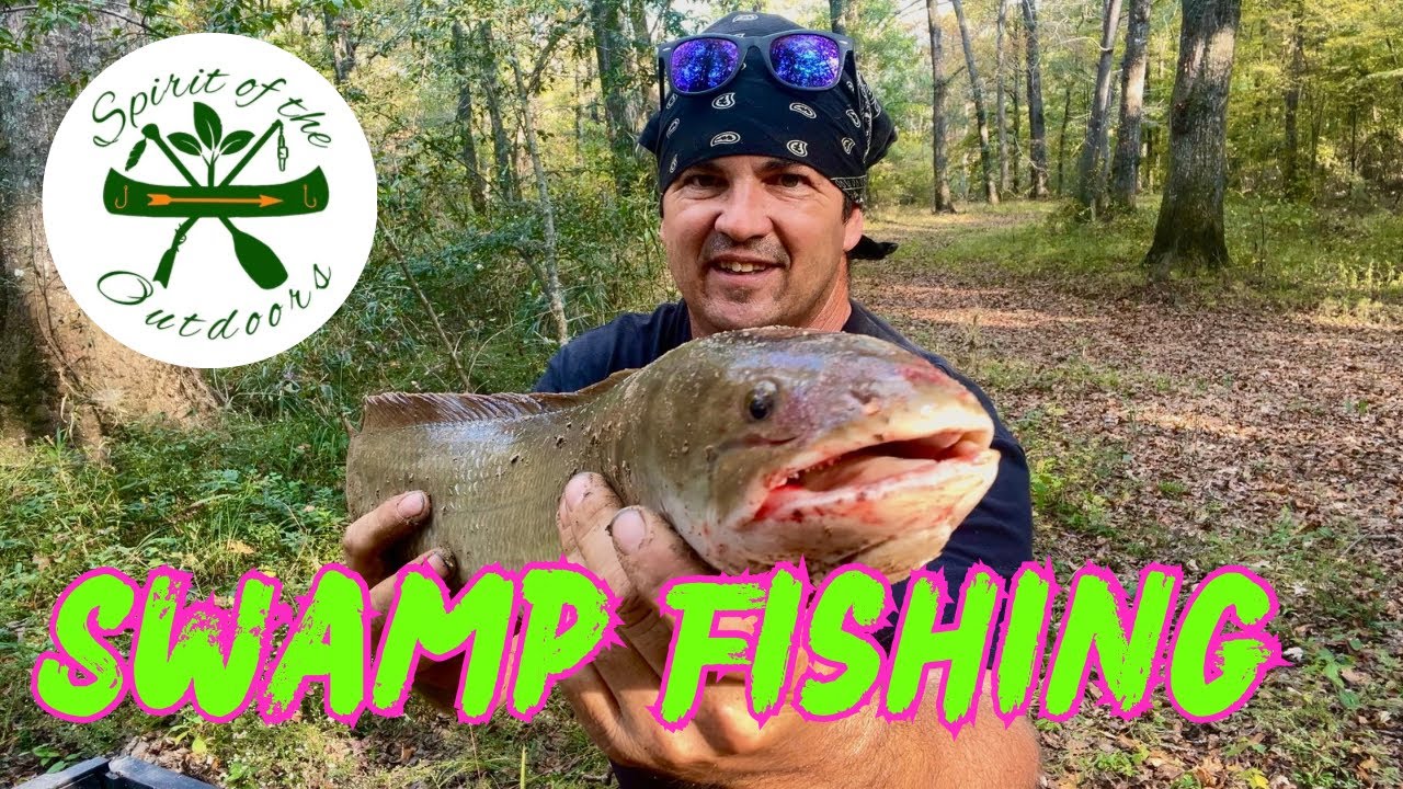 Swamp Fishing - YouTube