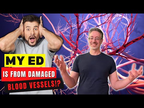 Damaged Penile Blood Vessels and Erectile Dysfunction - How Endothelial Dysfunction Kills Hardness