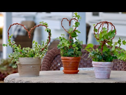 How To Make A Topiary Frame From Branches