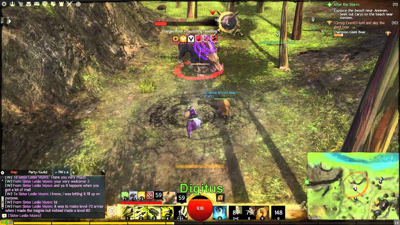 Solo Kill — Champion Giant Boar [Group Event] — Guild Wars 2 - YouTube