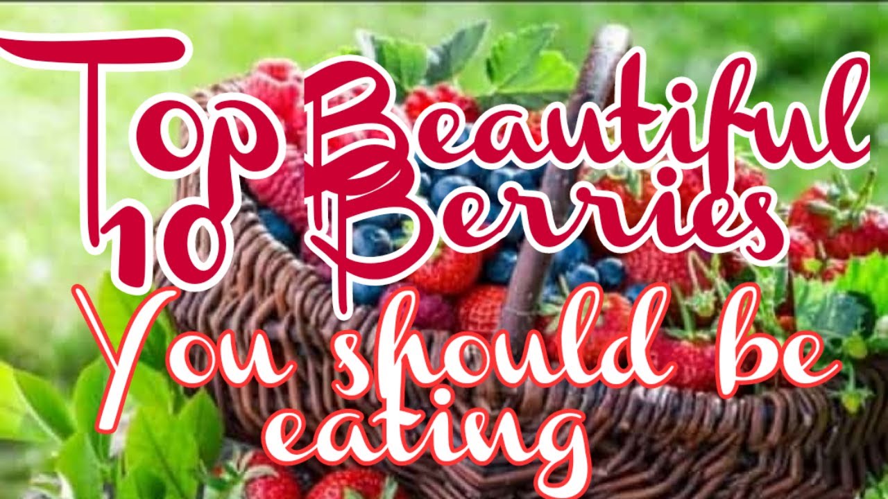 Top 10 Beautiful Berries You Should be eating, Most Popular berries in ...