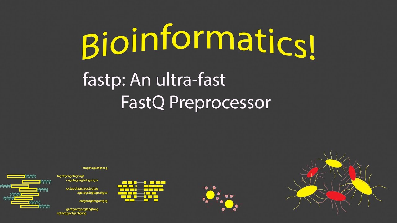 Bioinformatics - fastp FastQ Preprocessing Tool (Timestamps) - YouTube