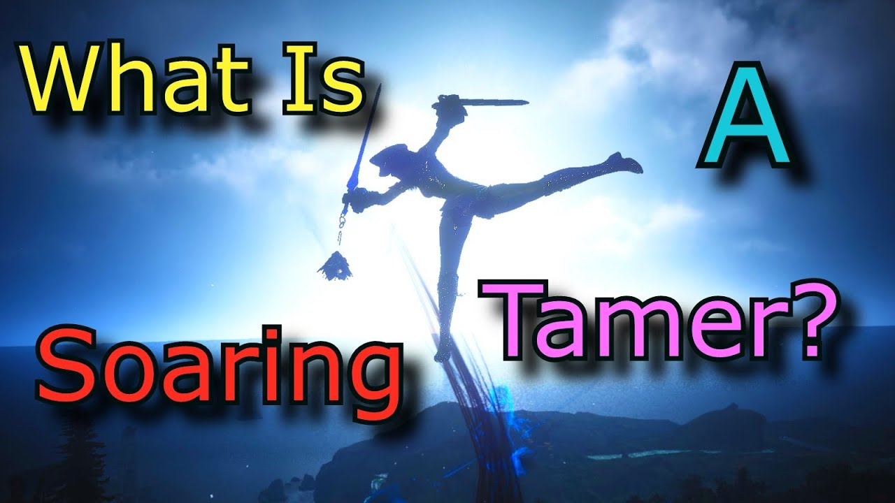 ~*What Is a Flying Tamer~* - YouTube