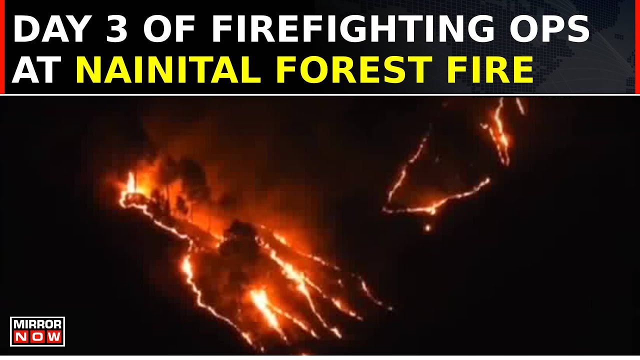 As Forest Fire In Nainital Rages On, CM Dhami Urges Unity In Effort ...
