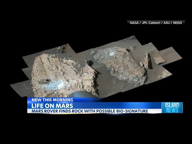 Mars Rover Finds Life NASA Perseverance Rover Discovery « Euro Weekly