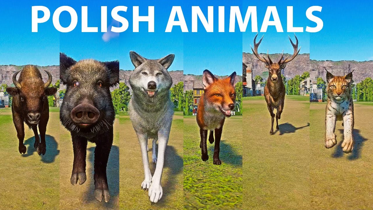Polish Animals Speed Races in Planet Zoo included Wild Boar, Bison ...
