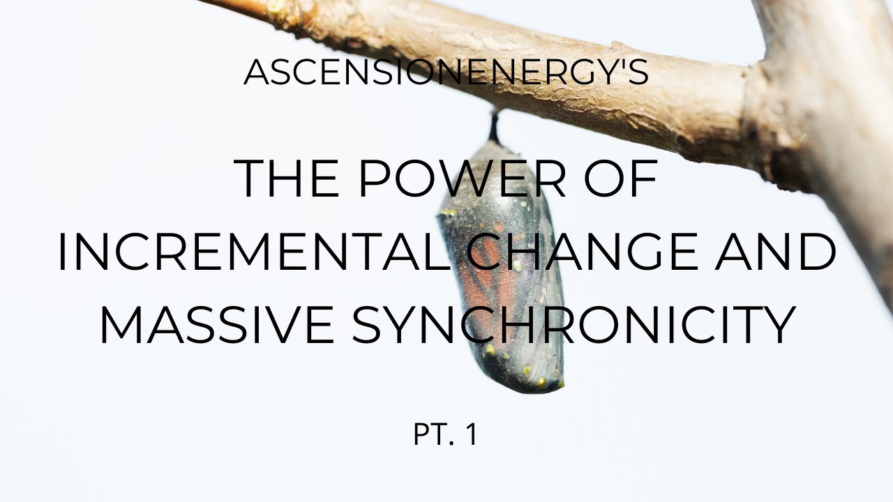 The Power of Incremental Change and Massive Synchronicity Part 1 - YouTube