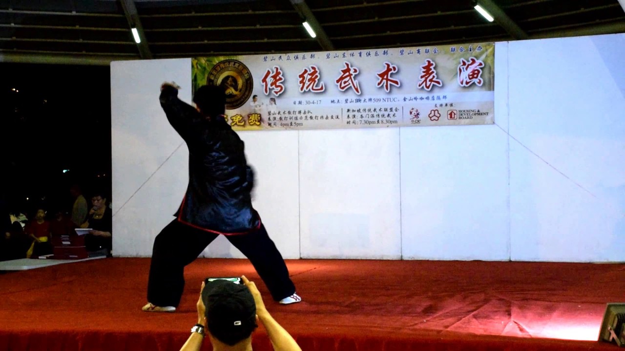 Southern Shaolin Boxing 南沙林三形 - YouTube