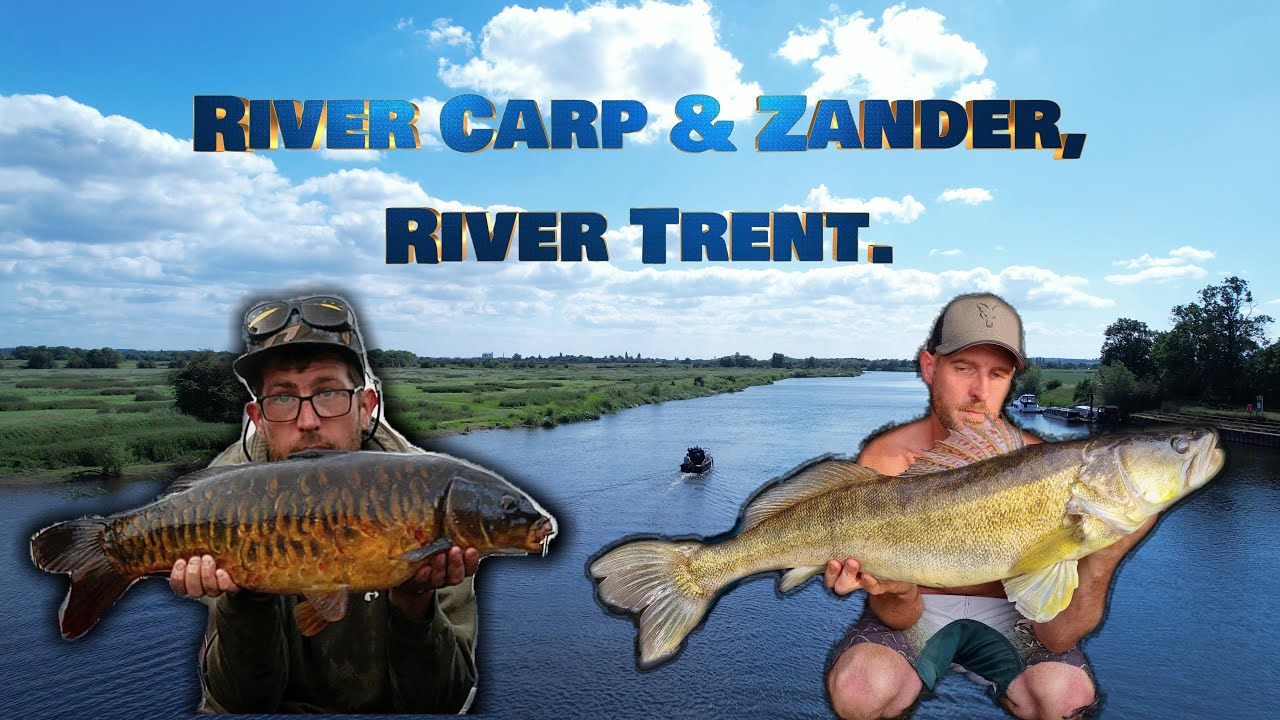 River Carp & Zander River Trent. EP9 - YouTube