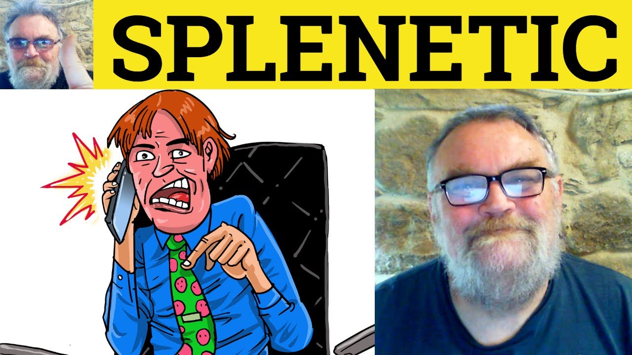 😎 Splenetic Meaning - Splenetic Defined - Splenetic Definition ...