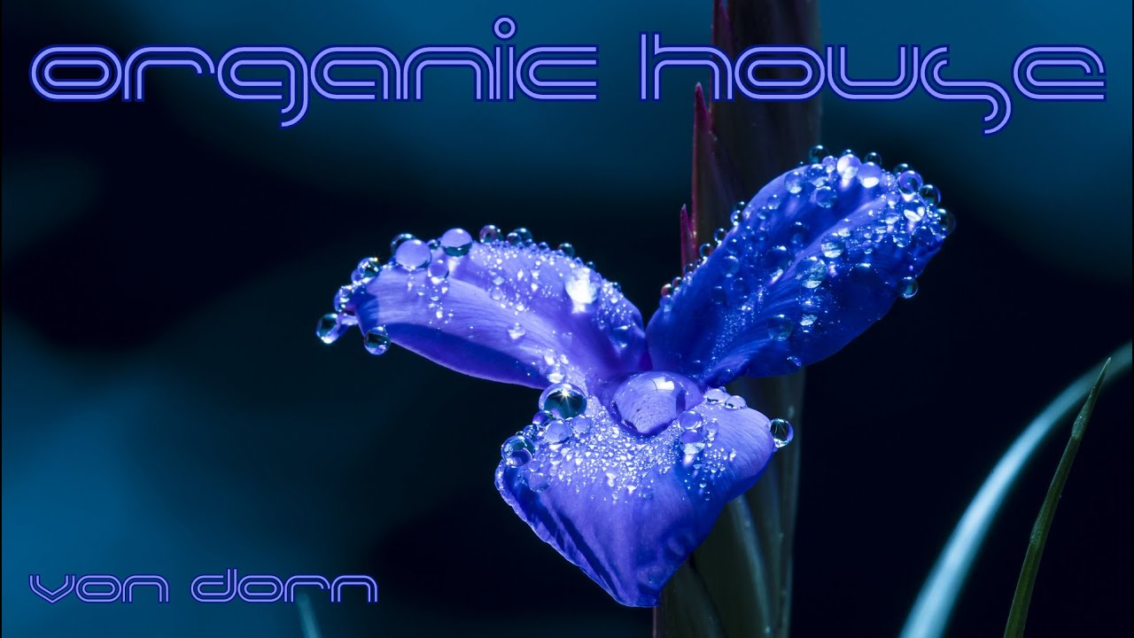ORGANIC SOUNDS / VOLUME 1 / ORGANIC HOUSE / 2021 / LIVESTREAM / MUSIC ...