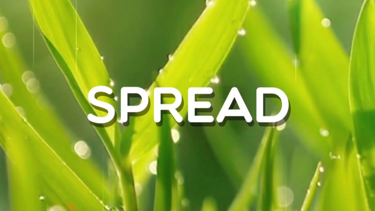 Spread, Level 546, Word Crush Answers, FullHD 60 fps. - YouTube