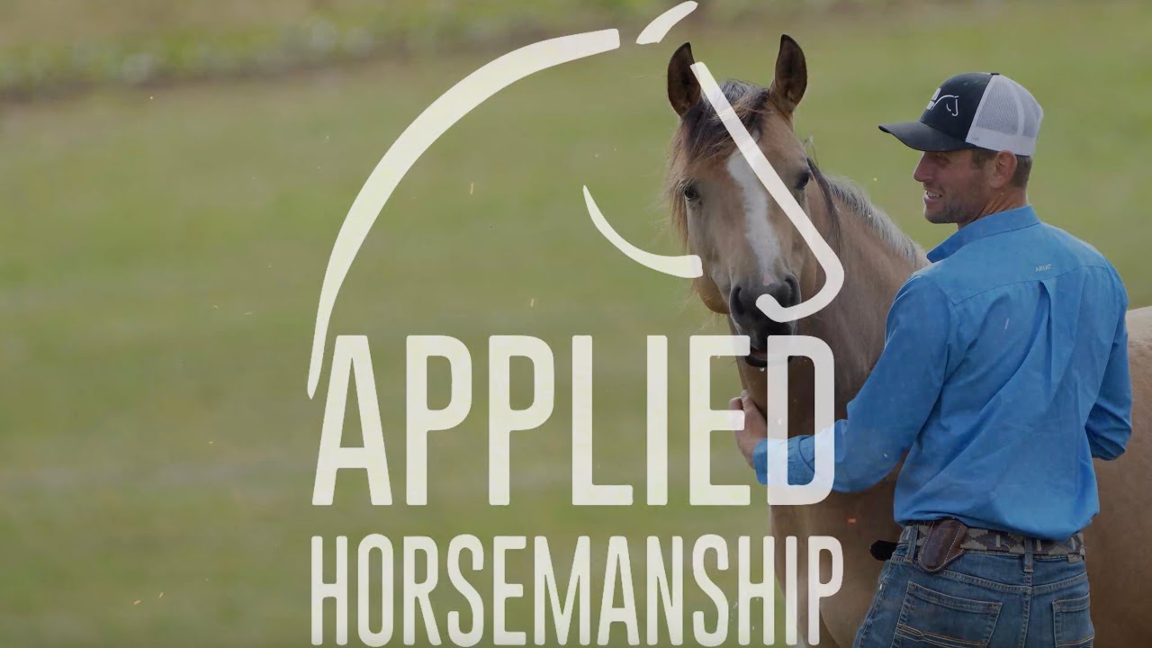 Applied Horsemanship Online - YouTube