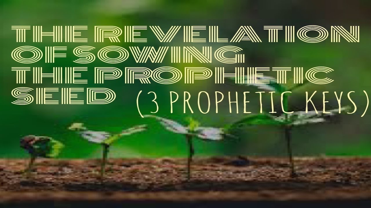 "THE REVELATION OF SOWING THE PROPHETIC SEED" (3 PROPHETIC KEYS ...