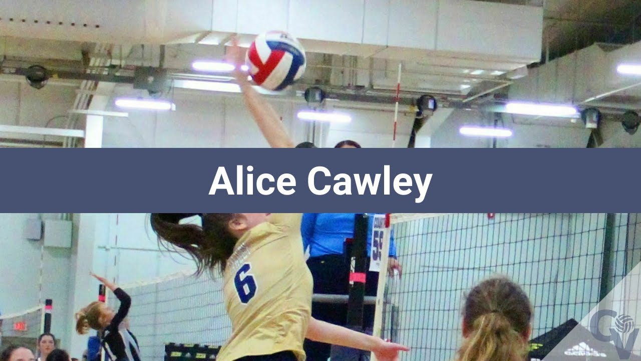 Alice Cawley Volleyball Highlights - NJ 2022 - OH. RS. Mid. DS - YouTube