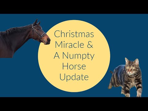 Christmas Miracle & Numpty Horse Update | Equestrian Vlog - YouTube