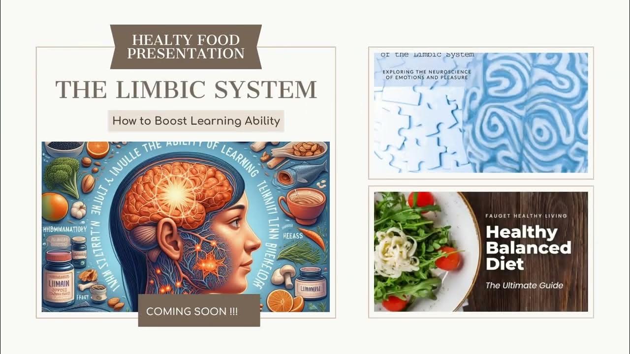 The Limbic System: How to Boost Learning Ability - YouTube