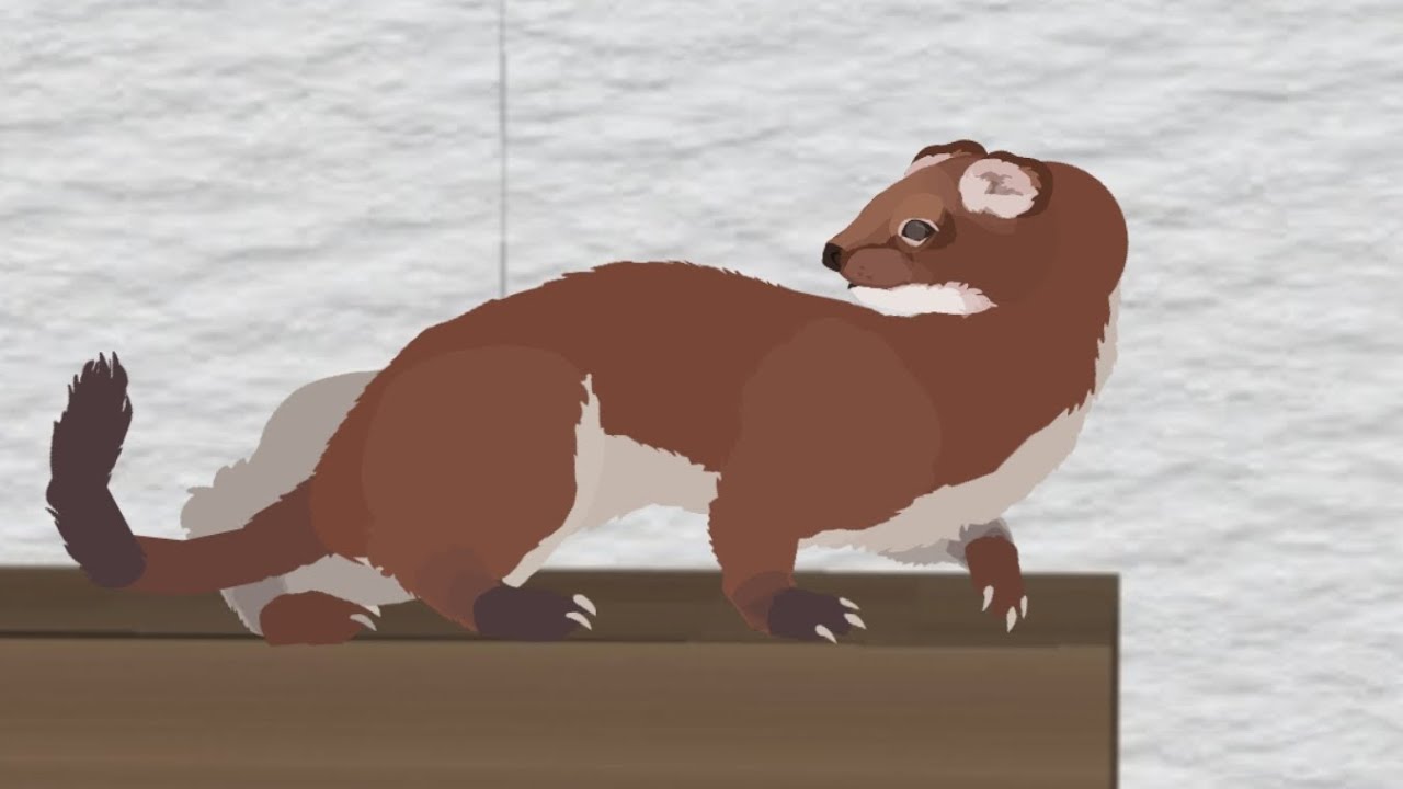 Dc2 test - Weasel animation - YouTube