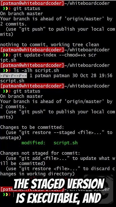 git: Make file executable #coding #git #gittutorial #github - YouTube