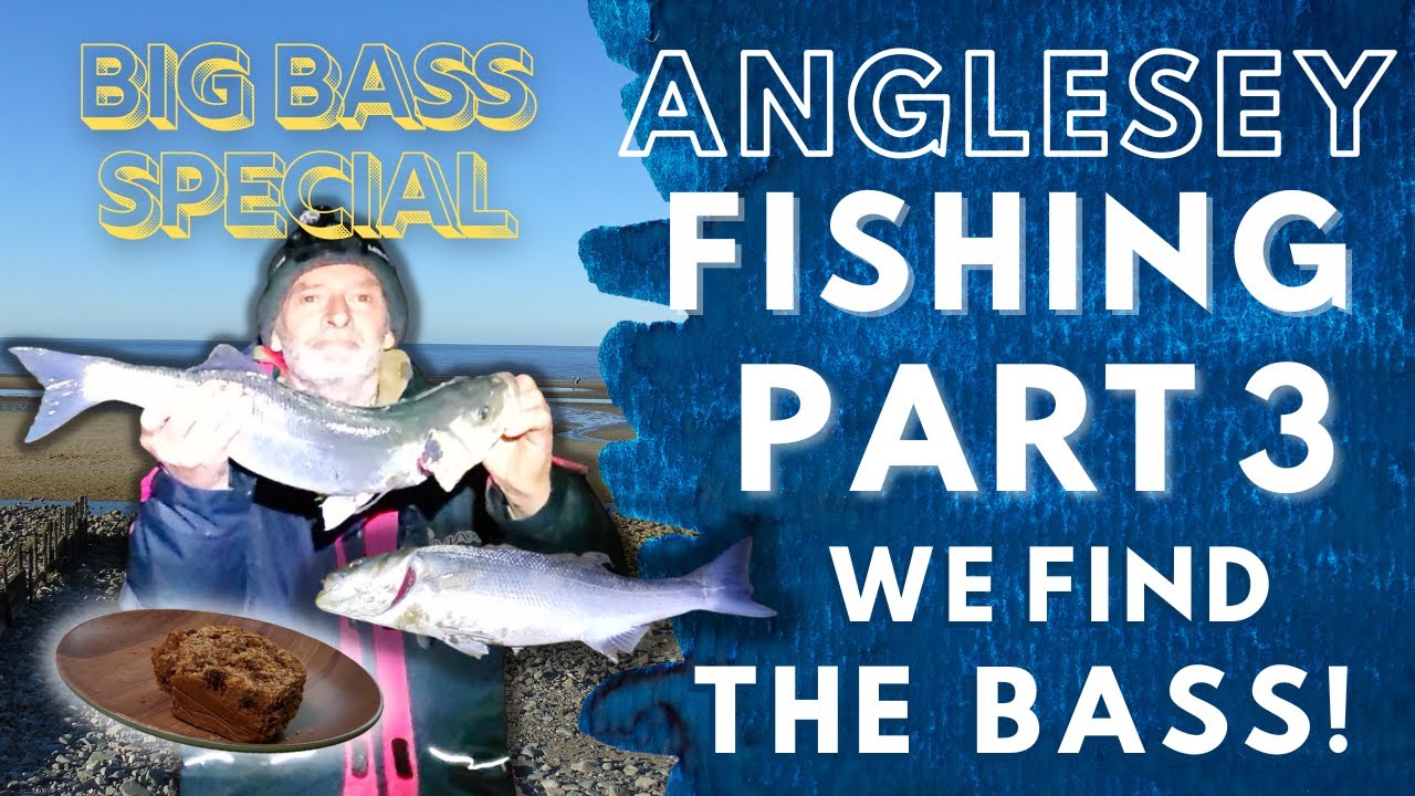 Catching Big Bass from the Shore in North Wales on a Sandy Beach - UK ...