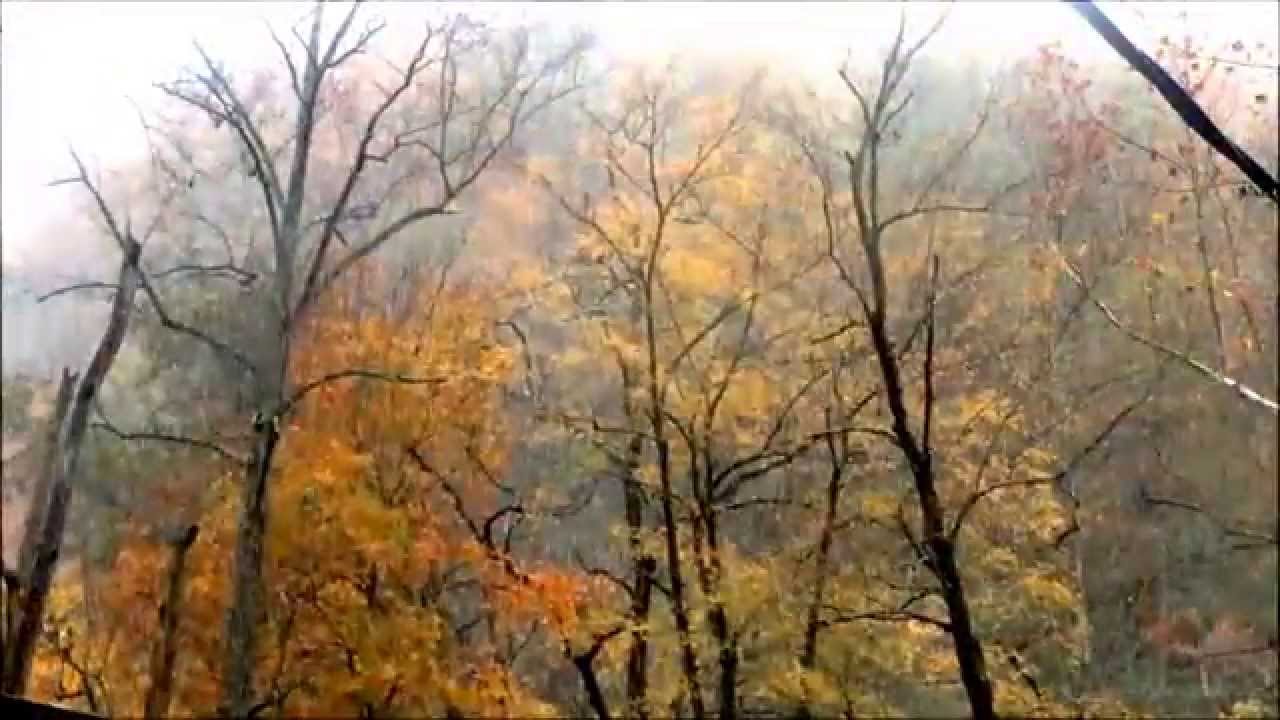First November Snow - Sevierville, TN - YouTube