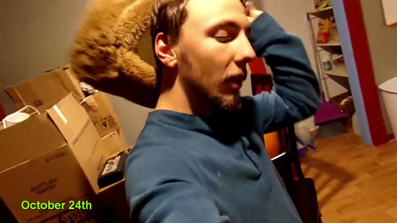 we're back, Apology, pumpkin carving, pranks, and more! - YouTube