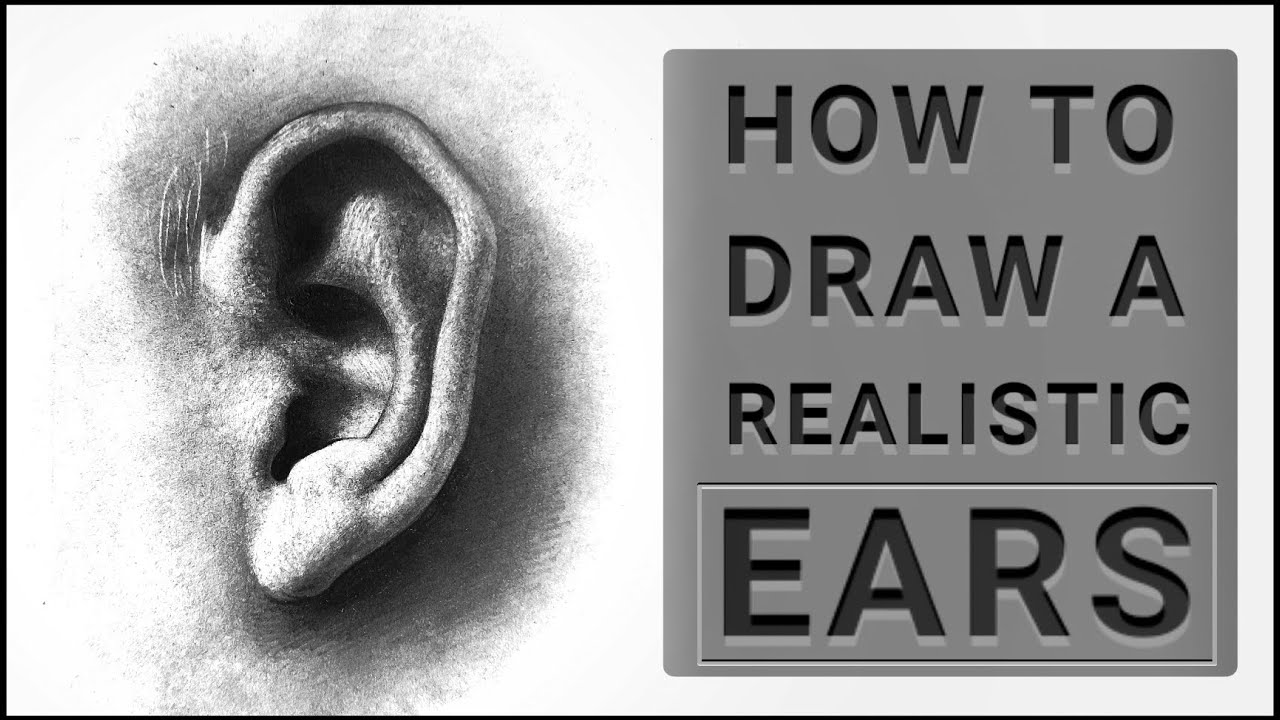 How to draw realistic ears - YouTube