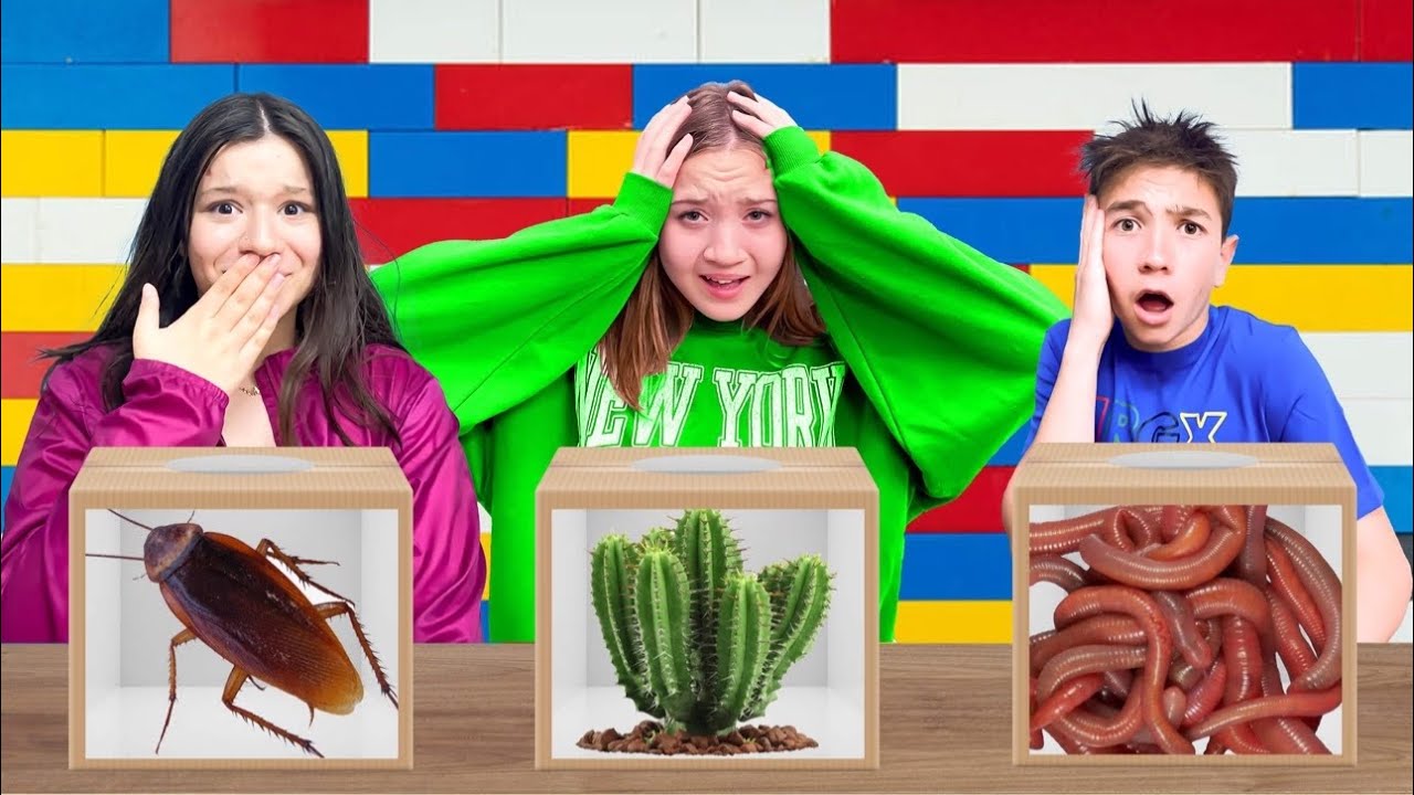 ΔΙΑΛΕΞΕ ΤΟ ΣΩΣΤΟ ΚΟΥΤΙ Challenge Youtube