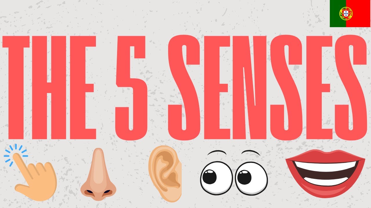 The 5 Senses in Portuguese - Os 5 Sentidos - YouTube