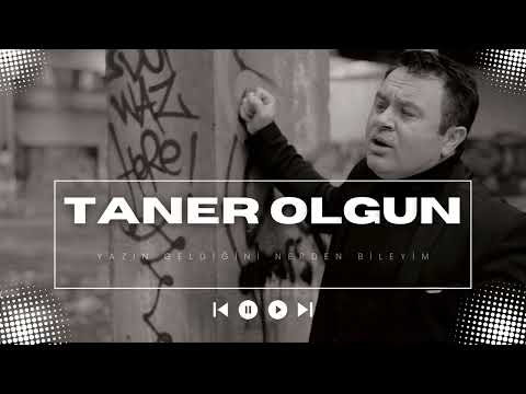 Taner Olgun - Yazın Geldiğini Nerden Bileyim