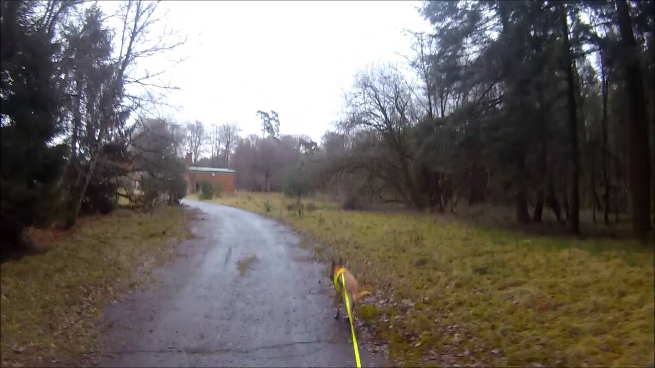 03-01-2014 Sam, Trail 2 - YouTube