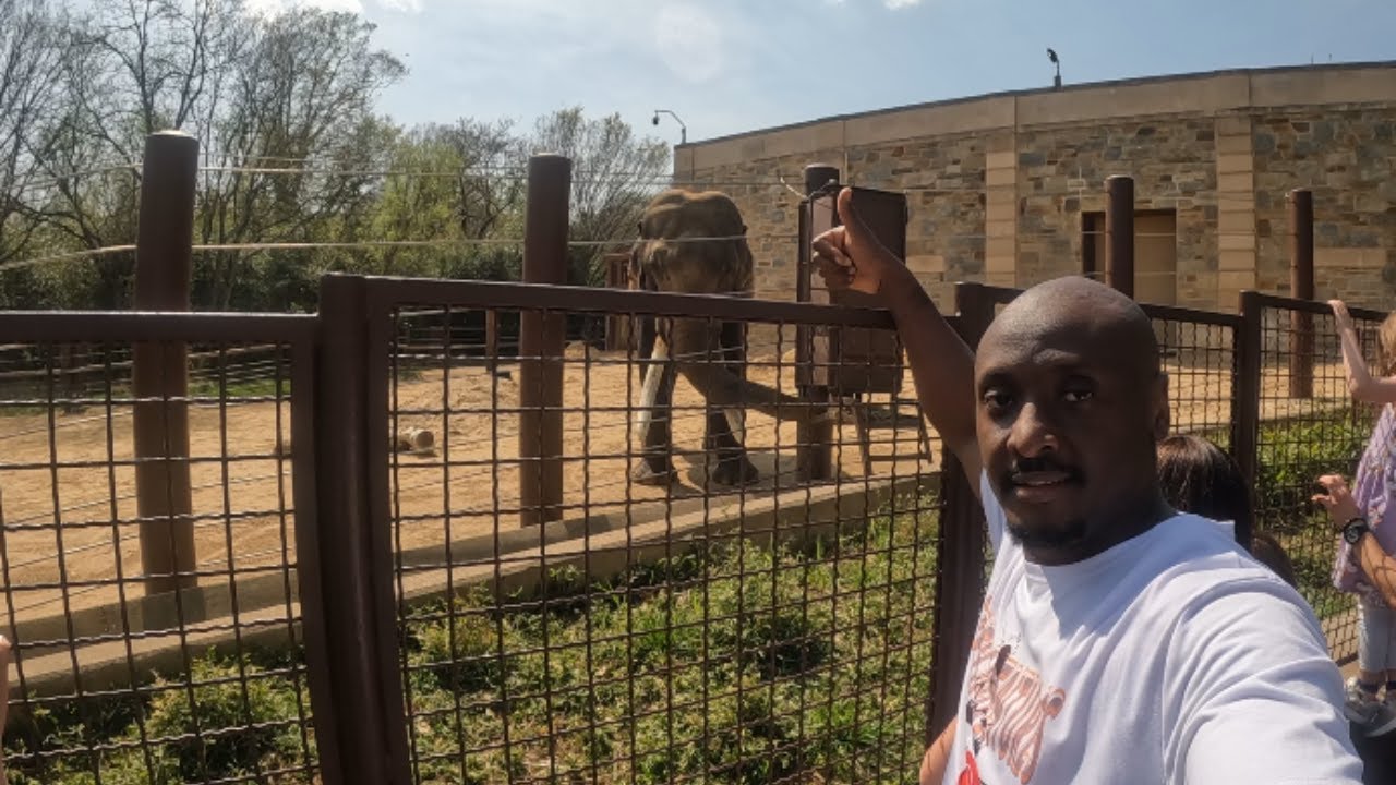 Exotic Animal Zoo: Home To The Most Unusual Animals In The World #usa # ...