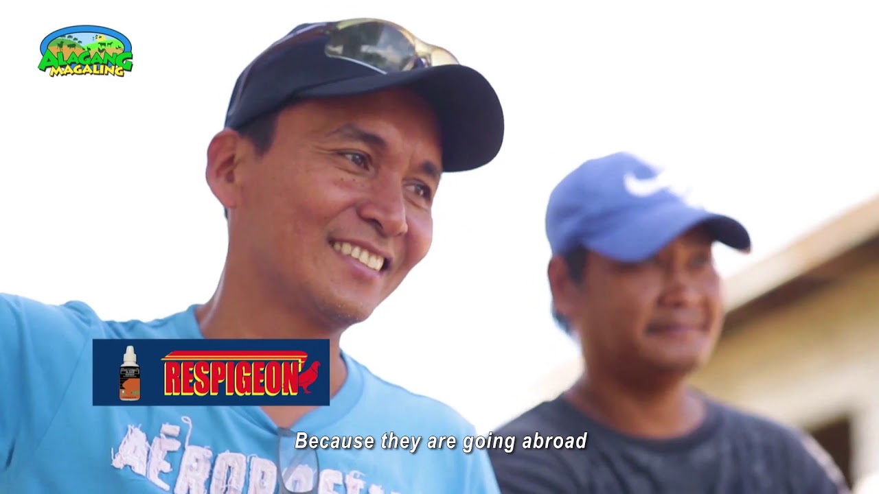 Alagang Magaling S11 Ep8 Face The Fancier - YouTube