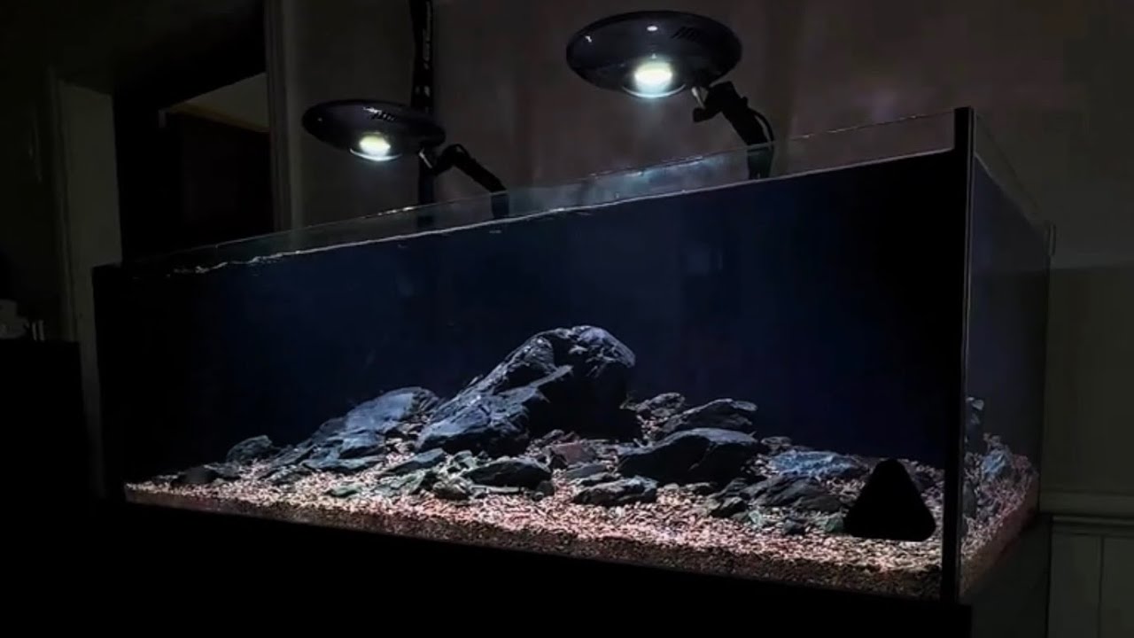 DIY Natural Stream Biome Step-by-Step, Stream Biotope Masterclass: From ...
