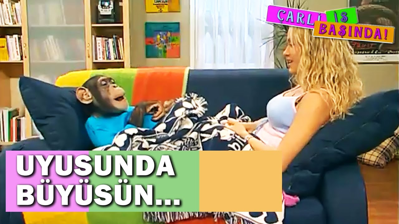 Çarli, Yine Yolunu Buldu - Çarli İş Başında 6. Bölüm - YouTube