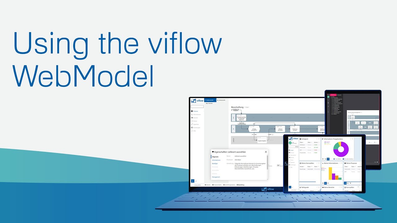 Using the viflow-8-WebModel - YouTube