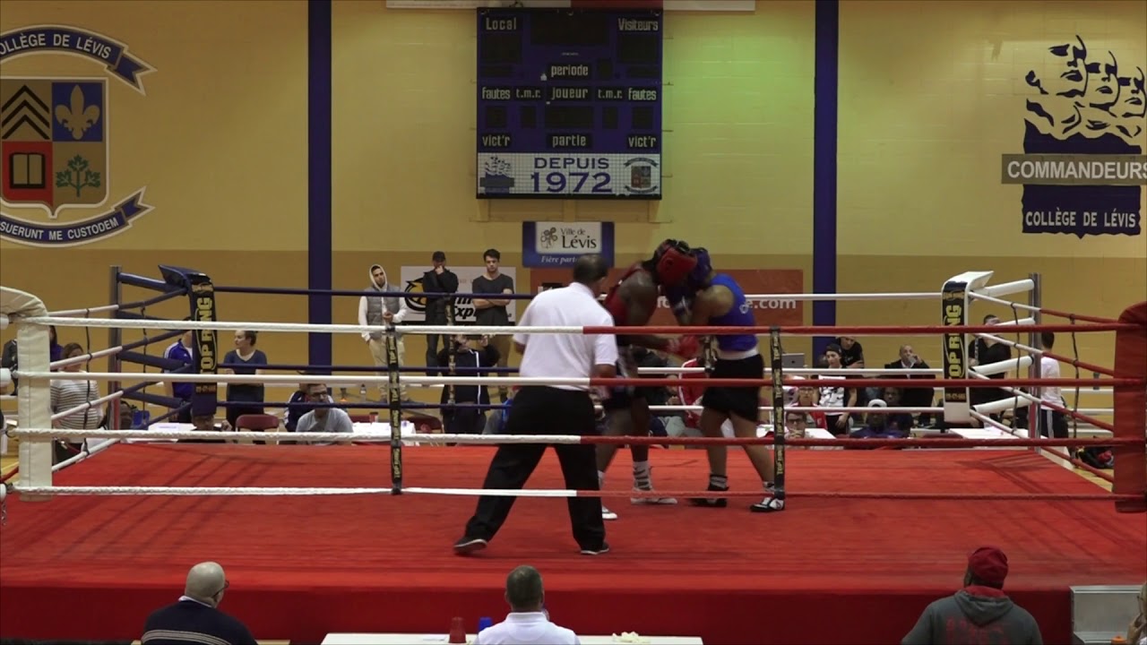 Lexson Mathieu vs David Sauveur (1/2 finale Gants dorés 2017 ) - YouTube