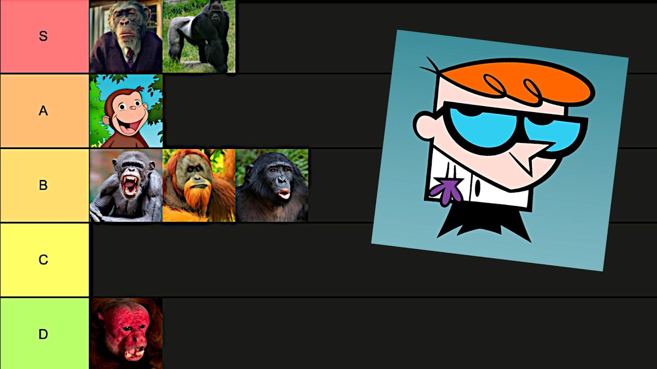 we ranked every ape and monkey... (Tier List) - YouTube