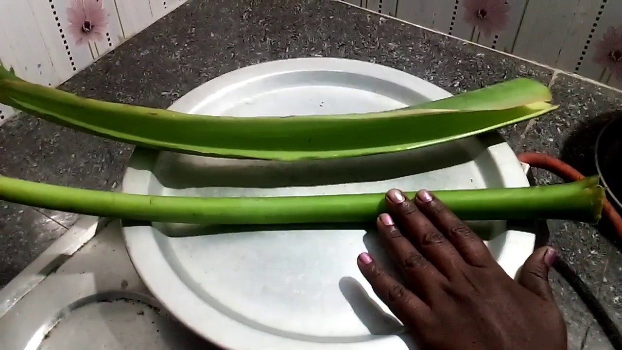 Sembu thandu kulambu ghiramathu oonavu in Tamil/healthy recipe ...