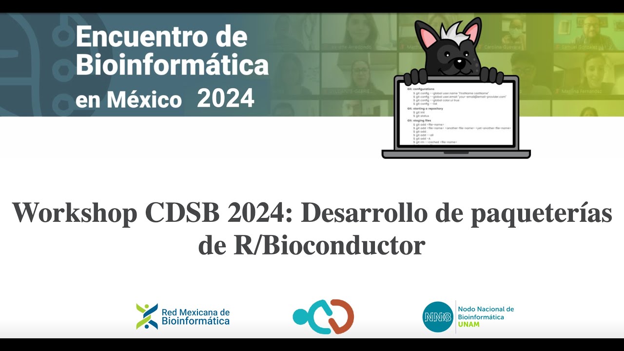 CDSB2024: Trabajando con proyectos de RStudio - YouTube