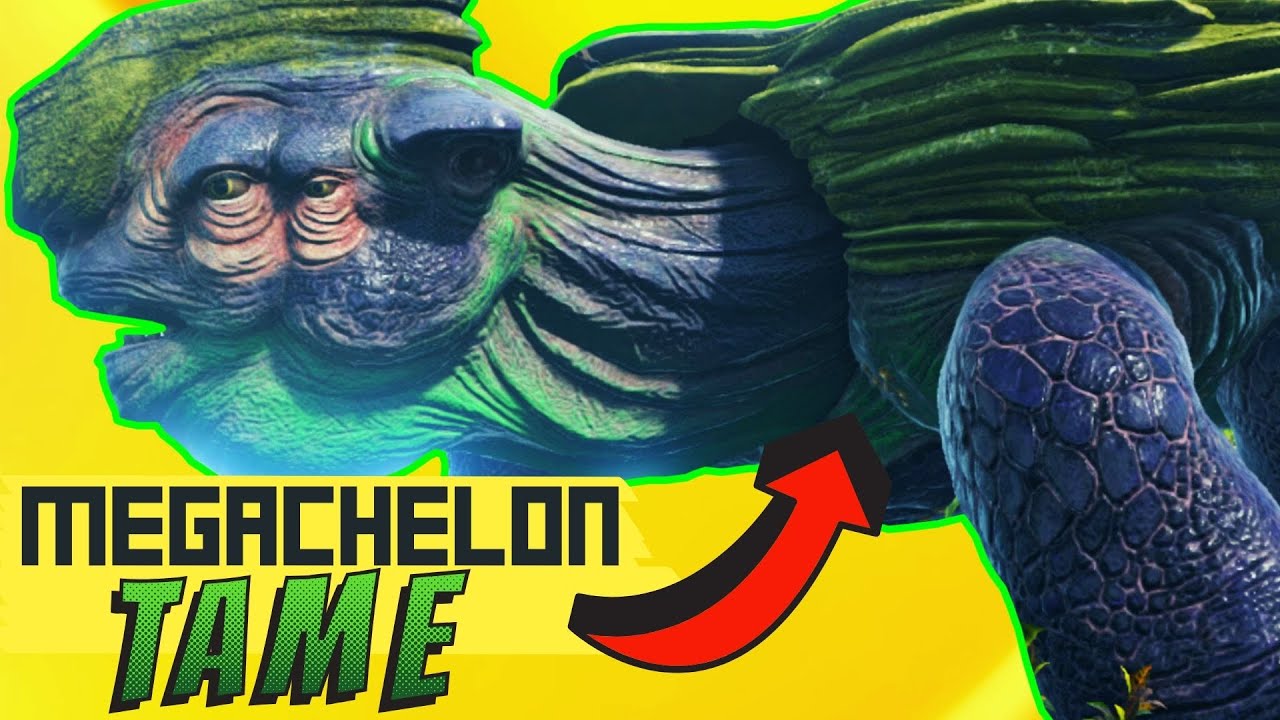 Megachelon Taming | How to Tame a Megachelon | Ark Genesis Tips - YouTube