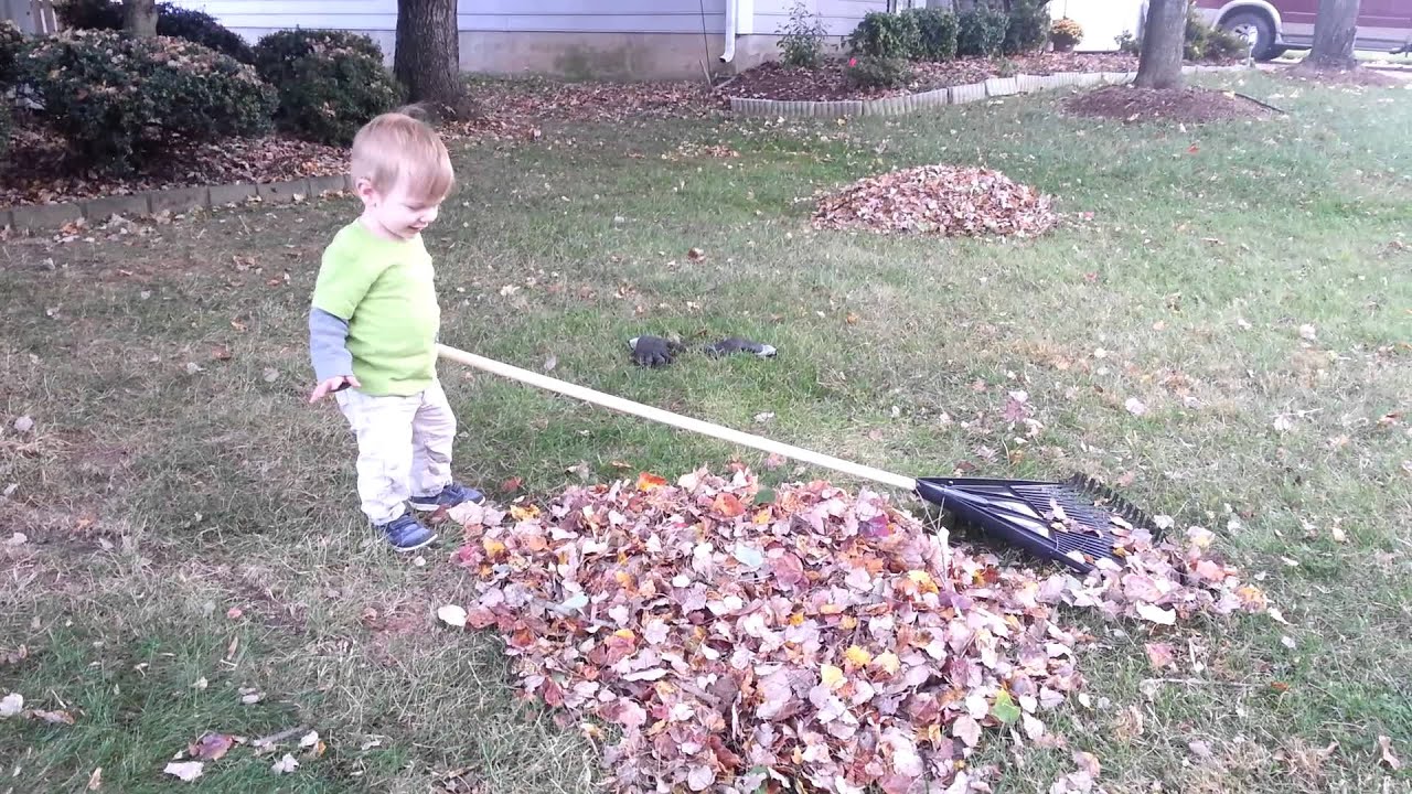 James raking leaves - YouTube