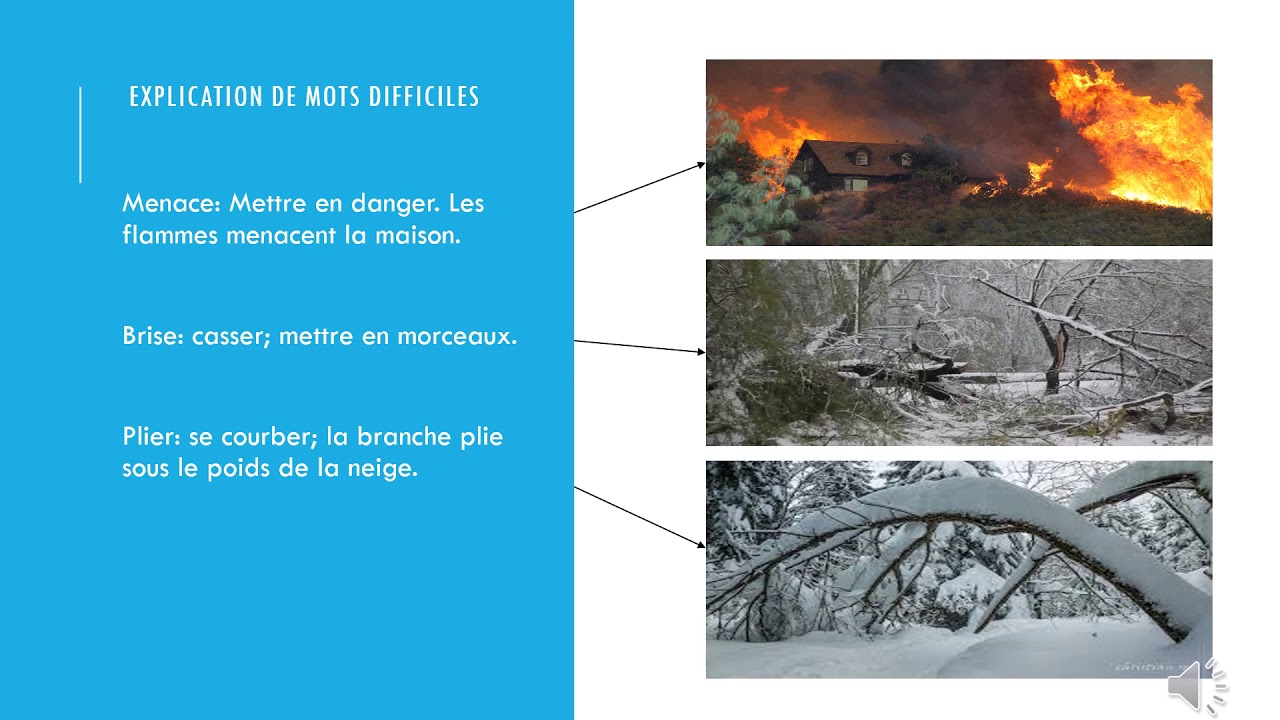 Quels dangers menacent la forêt? lecture 4AP - YouTube
